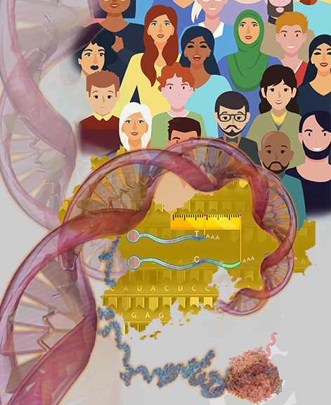 UCI-led study sheds light on mysterious genotype-phenotype associations ...